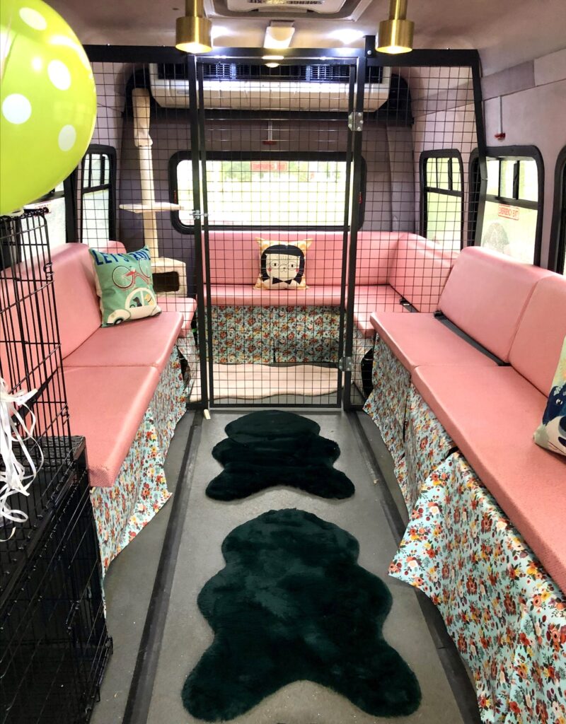 Whiskers on Wheels - Center Grove - Towne Post Network - Local Business ...