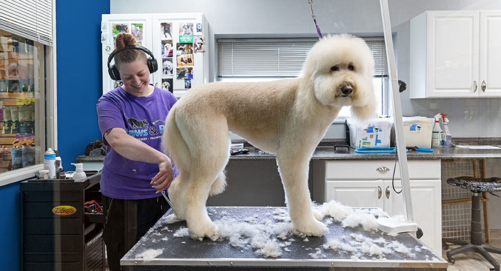 Paws & Play Dog Resort and Training Center Redefines Pet Care - Fishers ...