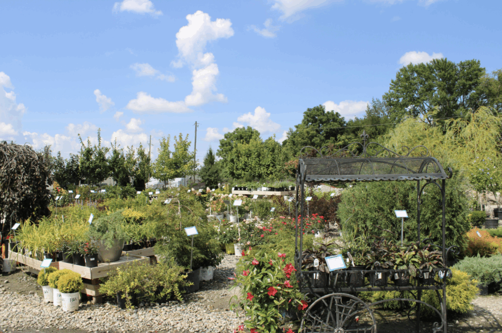 Outdoor Excellence: John Lasley Outdoor Solutions - Zionsville | Boone ...
