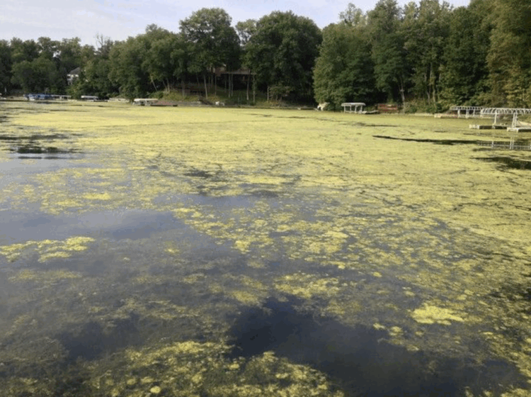 Geist Reservoir Treatment Summary 2025 - Geist - Towne Post Network ...